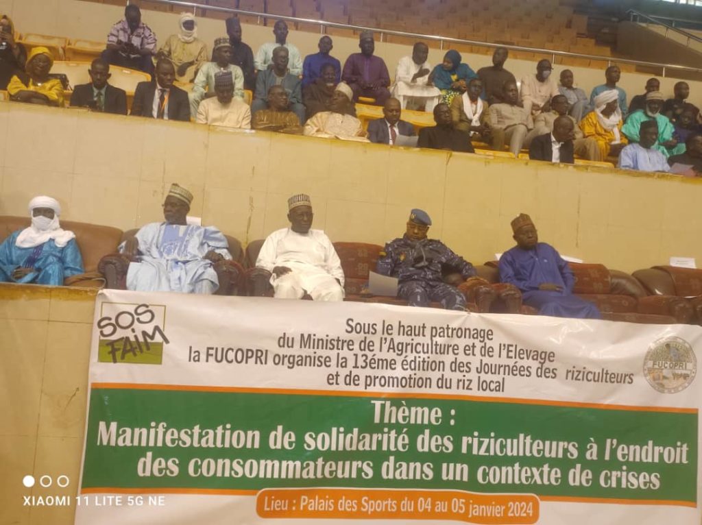 13eme édition des journées des rizicultures du Niger : Le Ministre de l ...